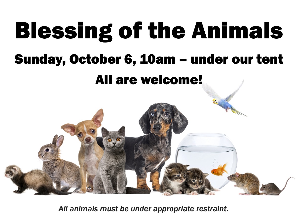 Blessing of the Animals, Oct. 6 - Crawford Memorial United Methodist Church